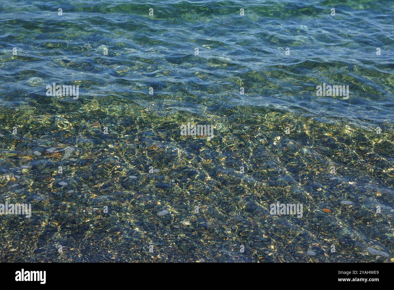 The surface of the water is smooth and clear, revealing a bed of small ...