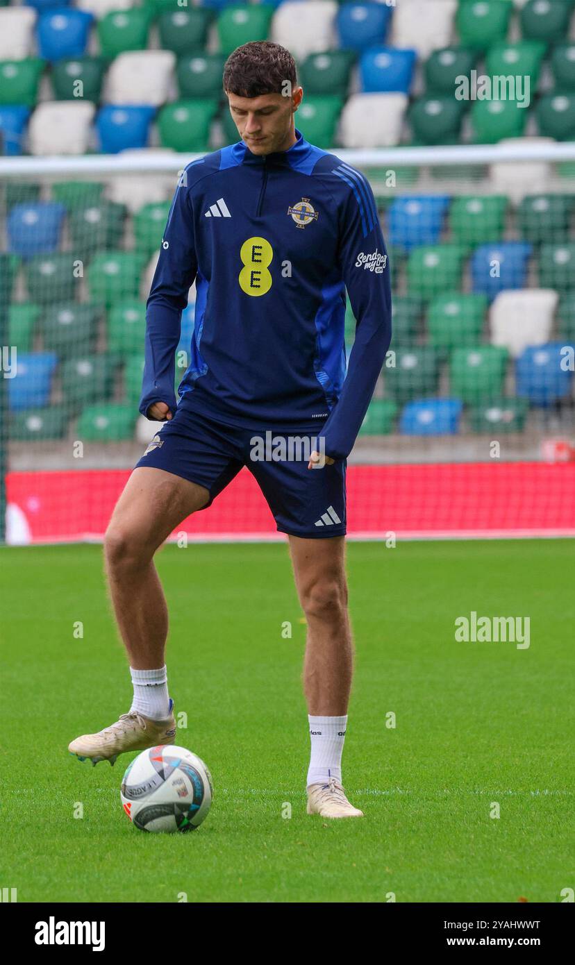 National Football Stadium at Windsor Park, Belfast, Northern Ireland ...