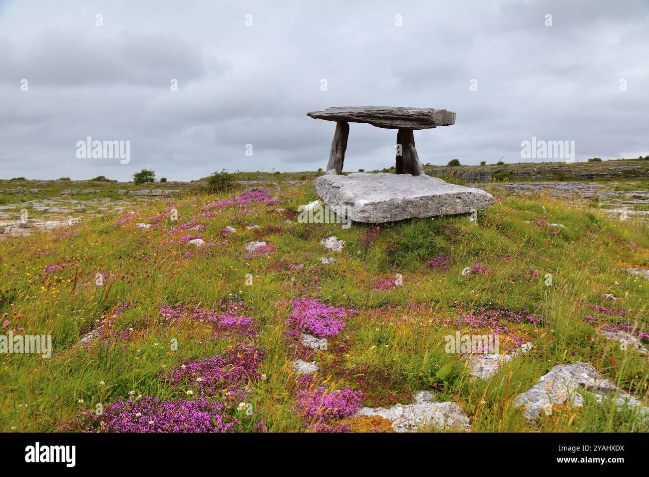 Poulnabrone dolmen in Ireland. Stone age portal tomb in The Burren ...