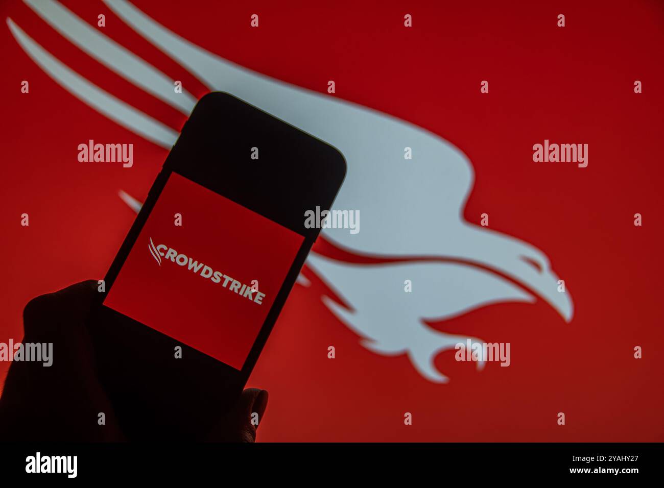 Rheinbach, Germany 13 October 2024, The brand logo of the US company "CrowdStrike" on the ...