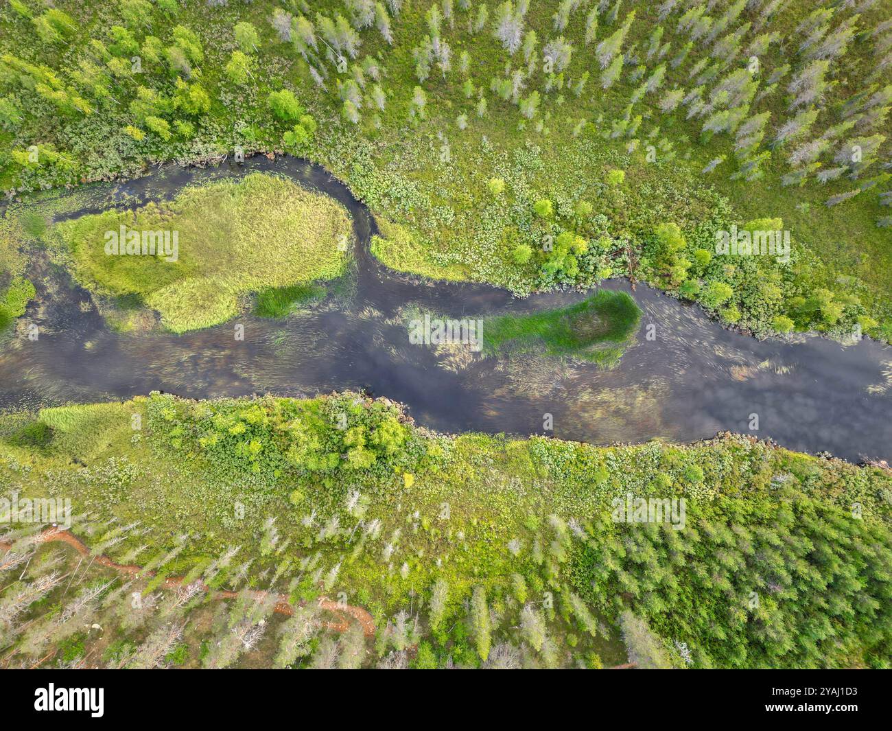 Clear river water flow top hi-res stock photography and images - Alamy