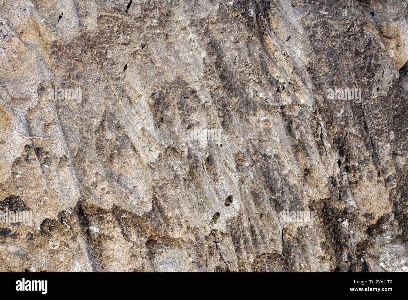 Surface of gray rough stone. Texture, natural stone background Stock ...