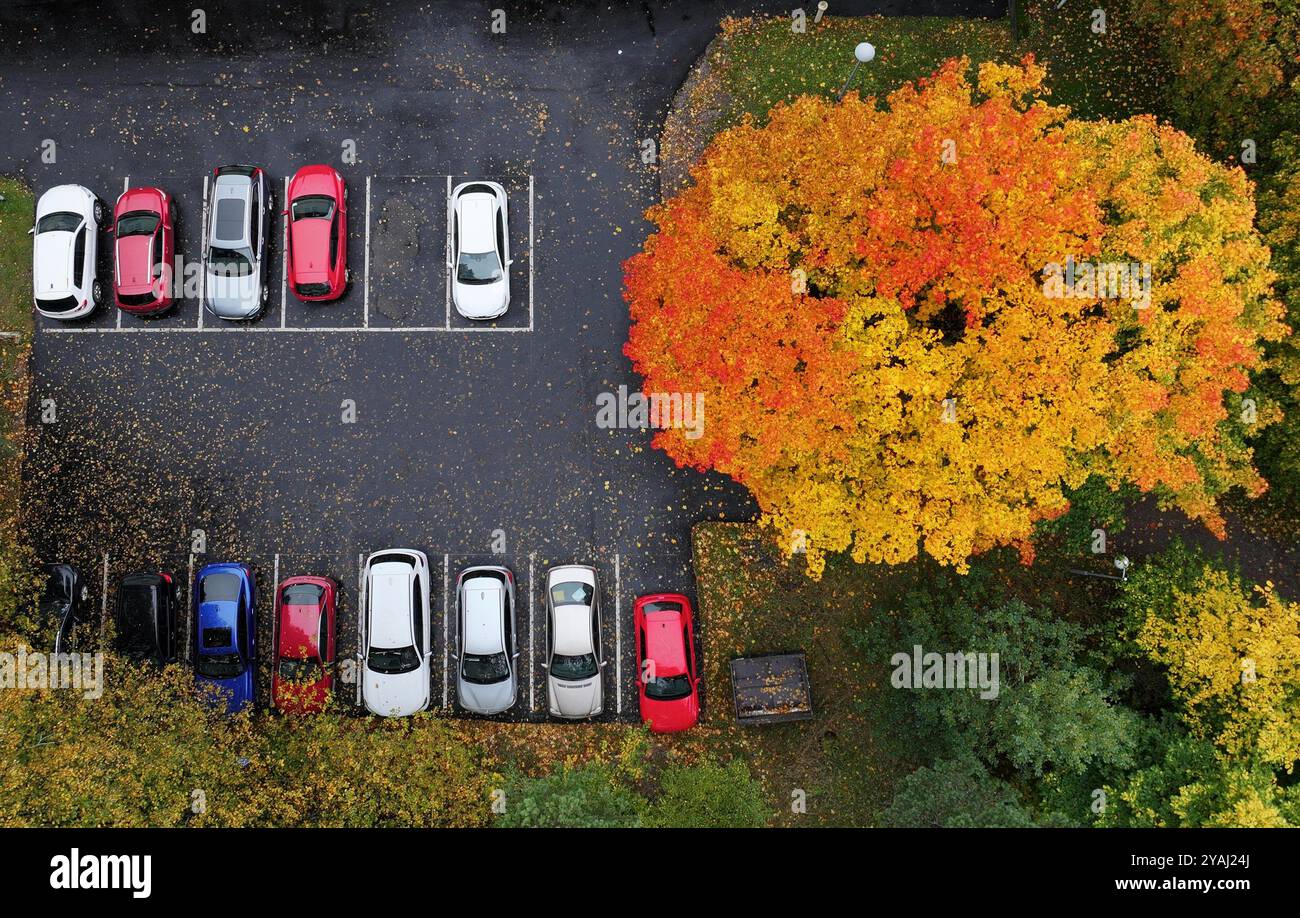Autumn colours enrich the urban view in Helsinki, Finland, on October ...