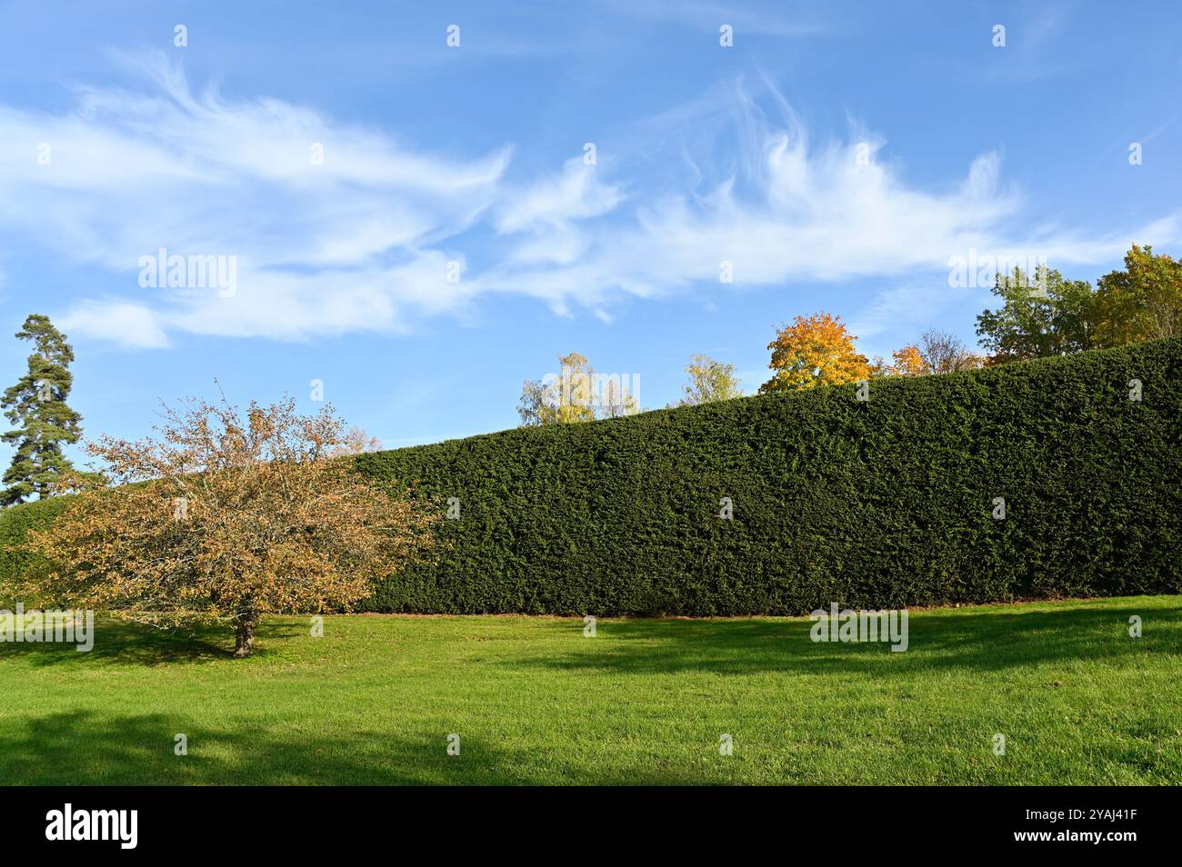 This photo captures a peaceful, sunny day in an open green field ...