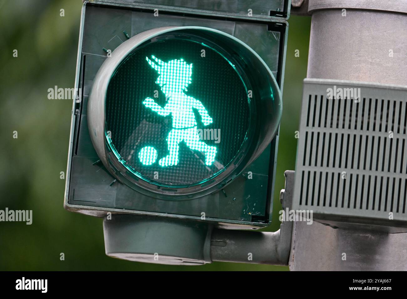 14 October 2024, Rhineland-Palatinate, Kaiserslautern: The green ...