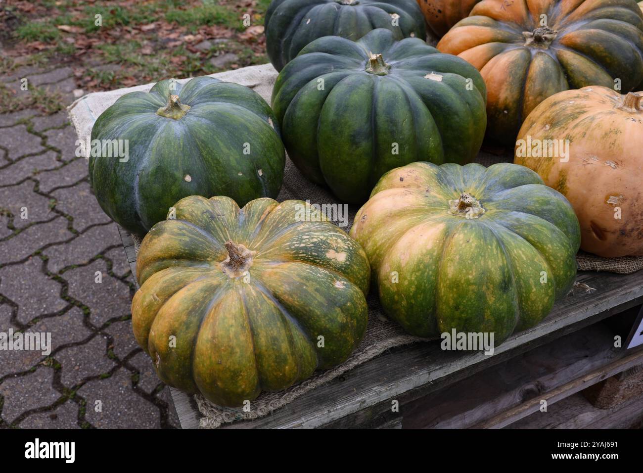 Muskat kürbis hi-res stock photography and images - Alamy