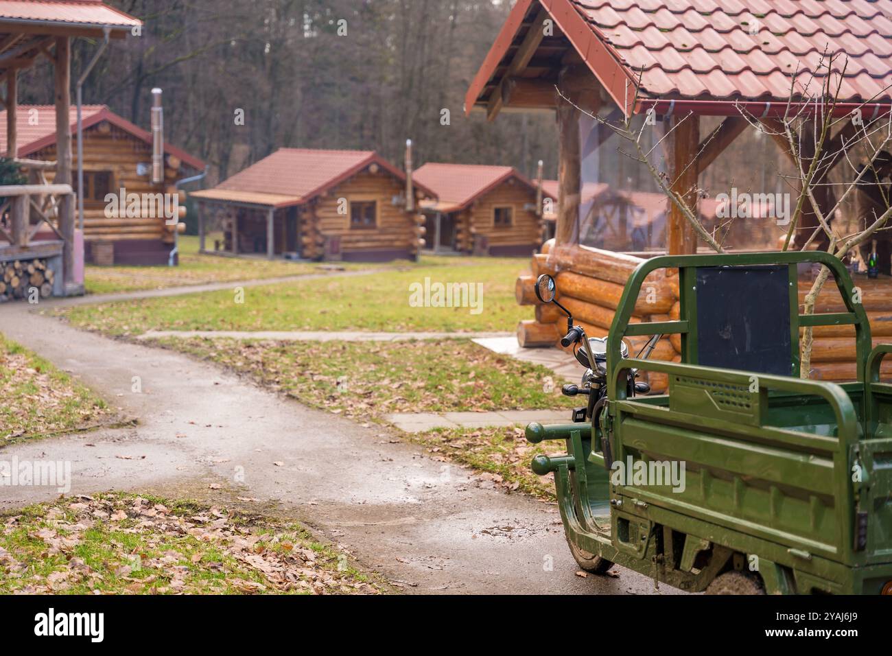 Three wheel electric motorcycle with luggage rack with rustic log ...