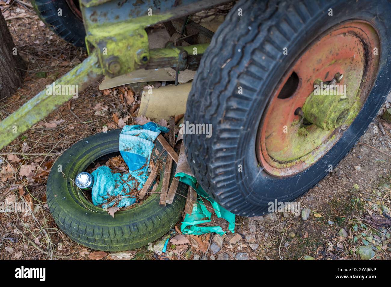 A discarded moss covered tire filled with litter, including plastic and cans, lies in a quiet ...