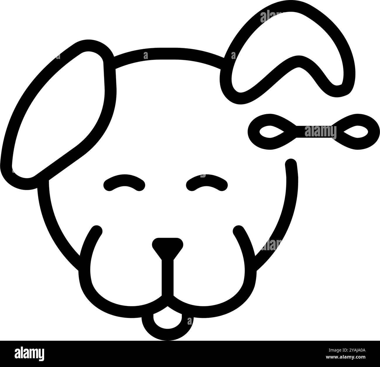 Grooming services types. Washing And Drying Dog. Ear cleaning concept ...
