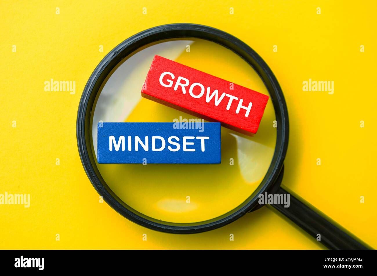 Top view of Growth Mindset text on multicolored wooden blocks with ...