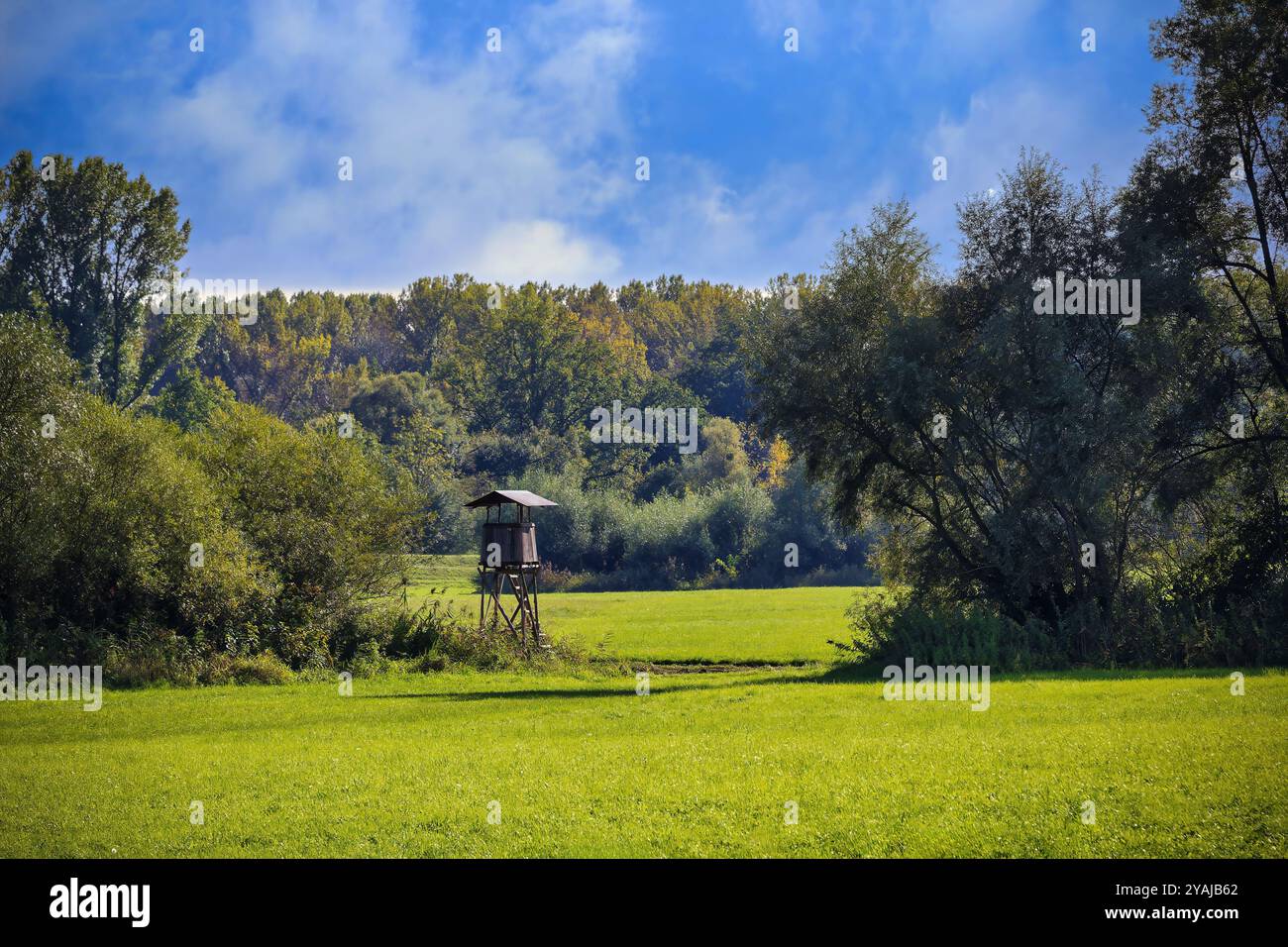 Hide a fence hi-res stock photography and images - Alamy