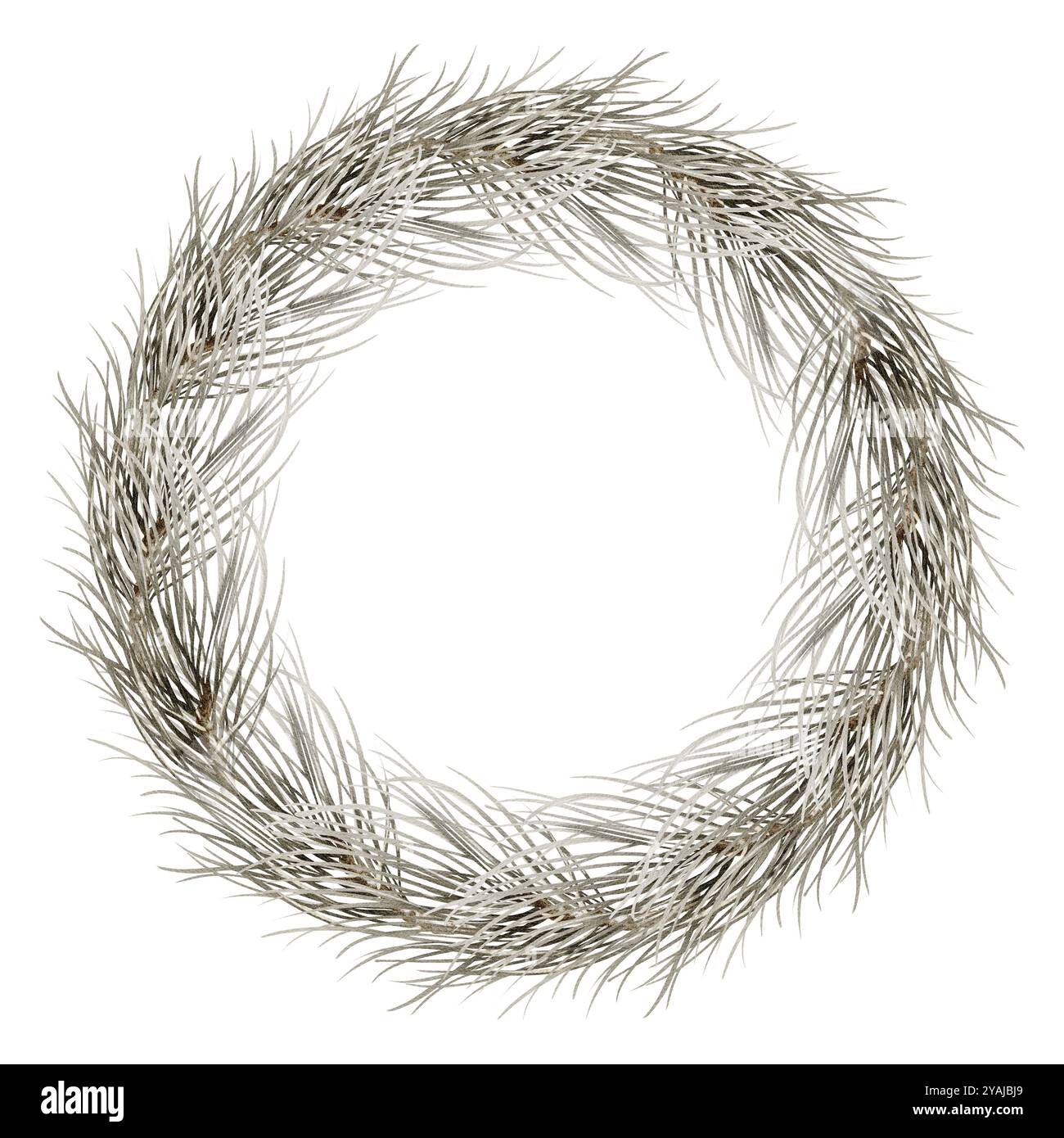 Christmas tree branches wreath of spruce isolated on white background ...