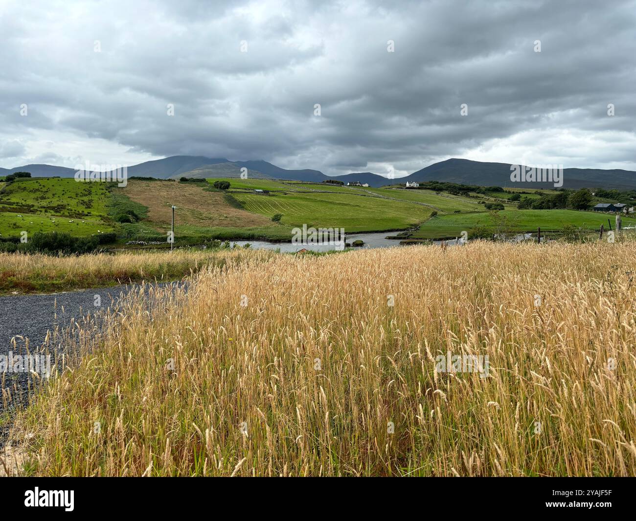 West coast countryside smartphone stock photos and images - Alamy