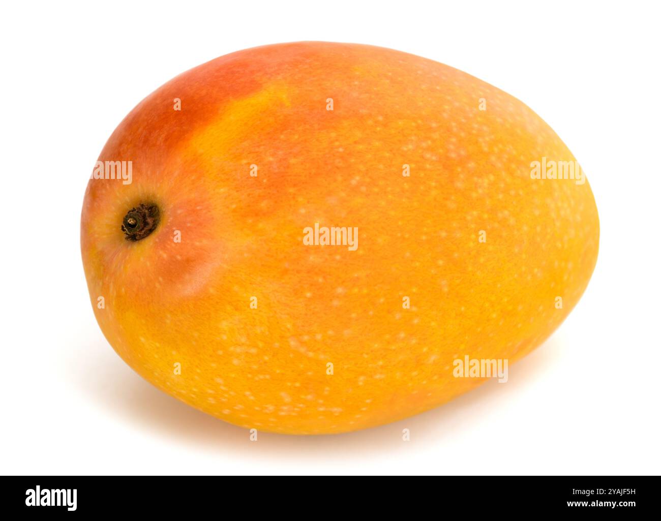 Juicy tropical mango fruits hi-res stock photography and images - Alamy