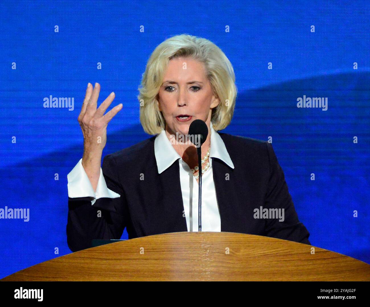 Lilly ledbetter hi-res stock photography and images - Alamy