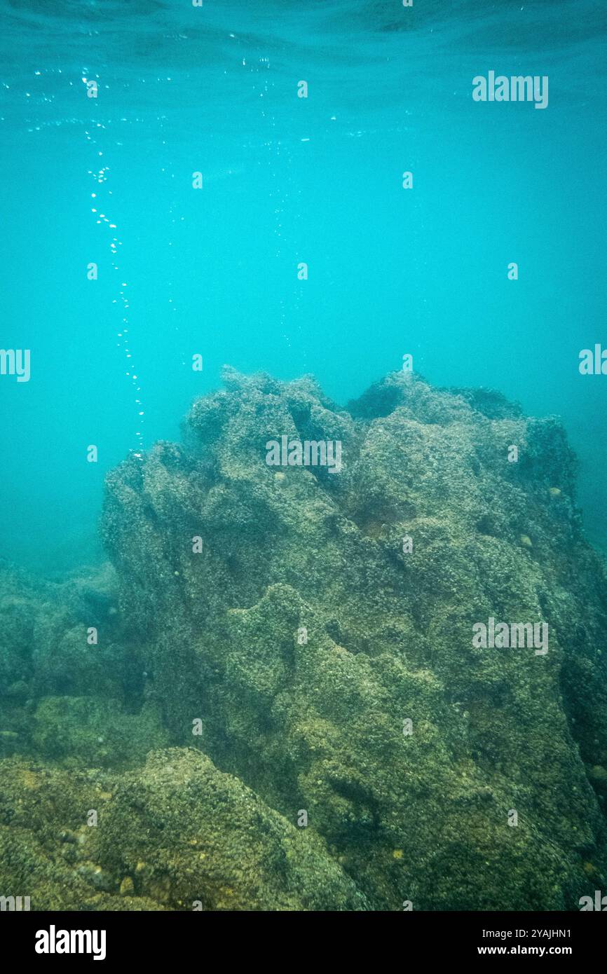 Récif nord hi-res stock photography and images - Alamy