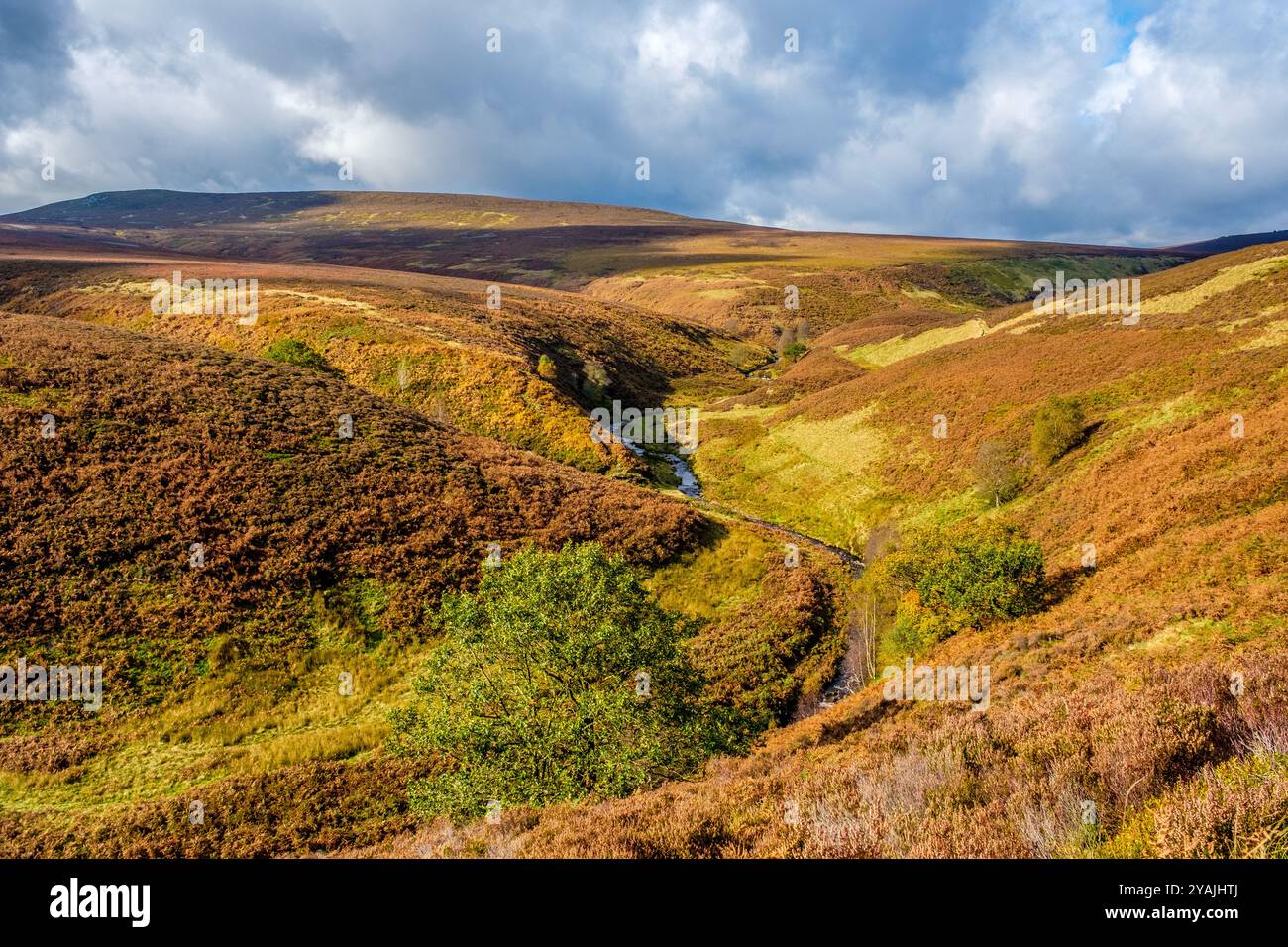 The Howden Moors of the Upper Derwent Valley in the Peak District ...