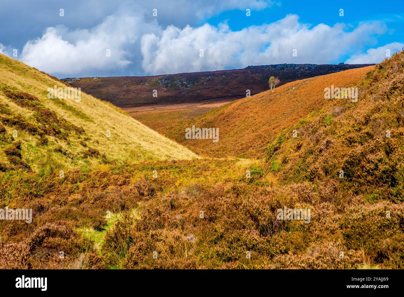 The Howden Moors of the Upper Derwent Valley in the Peak District ...