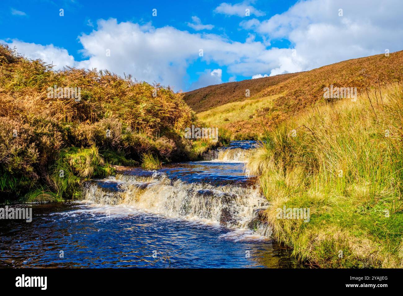 The young River Derwent running off the Howden Moors in the Peak ...