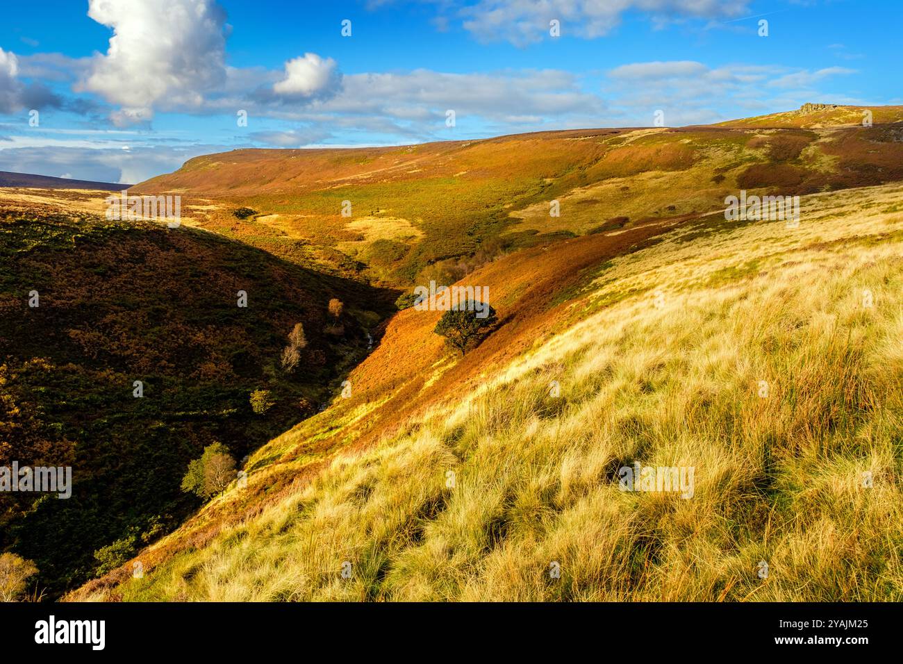 The Howden Moors of the Upper Derwent Valley in the Peak District ...