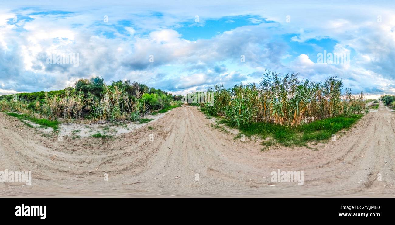 Green Bushes In The Beach 360 View Stock Photo - Alamy
