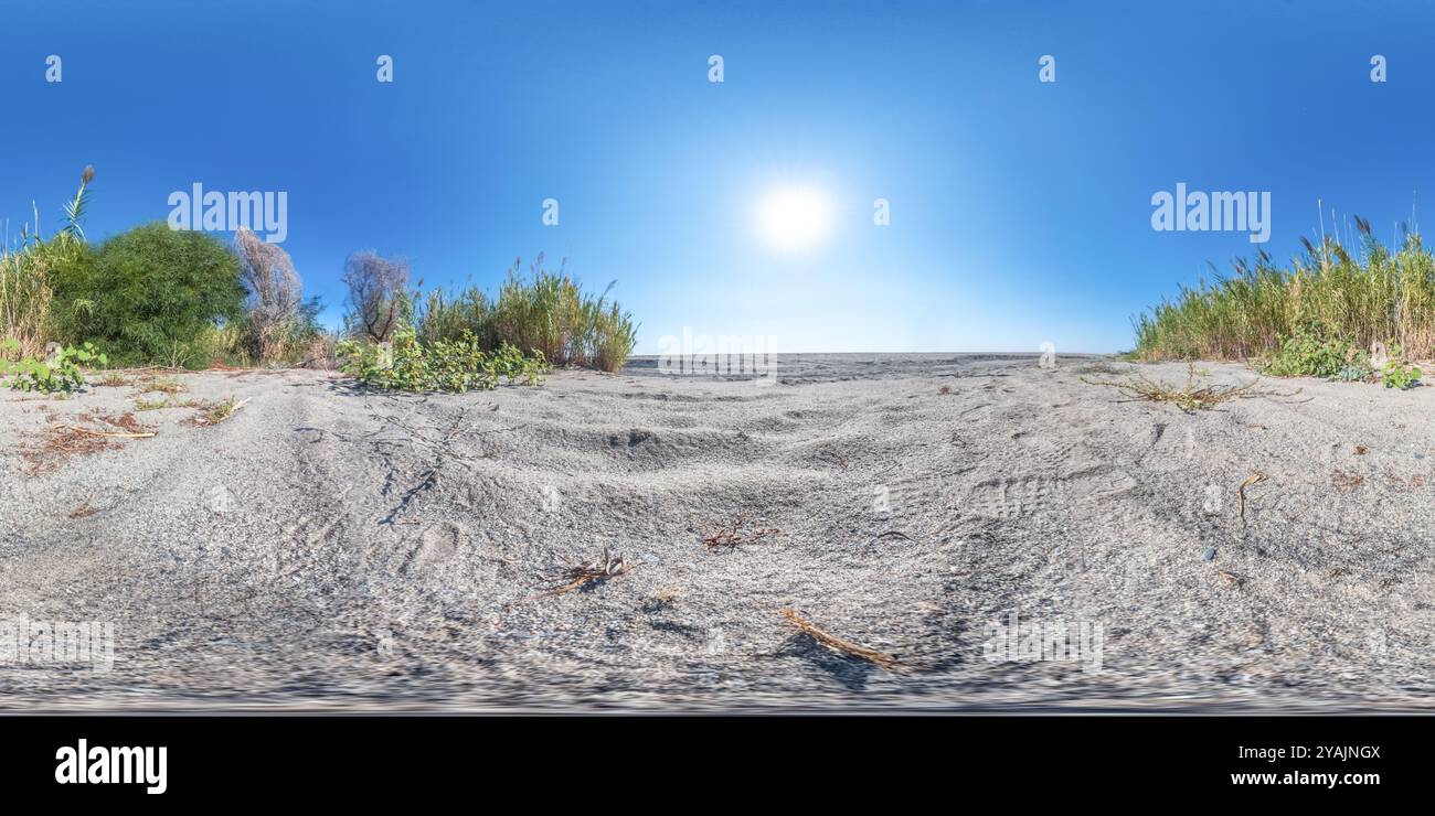 Plants under the sun hi-res stock photography and images - Alamy