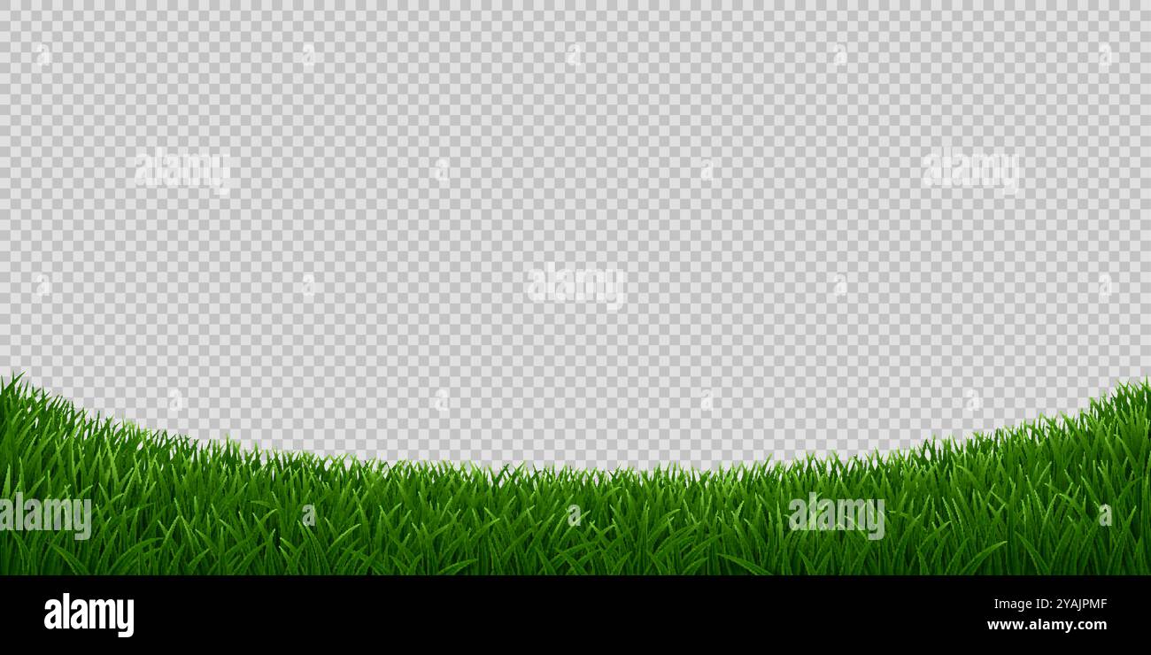 Realistic green grass field or meadow on transparent background. 3d ...