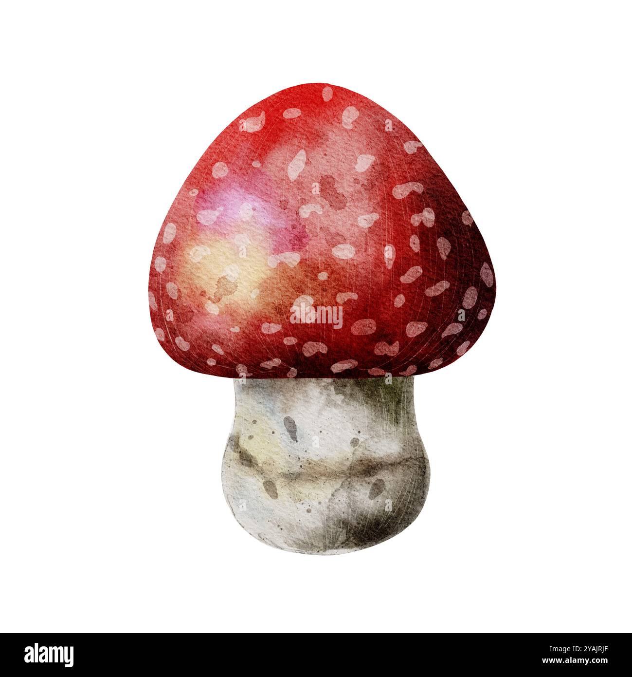 Red forest mushroom with white spots. Watercolor illustration, hand ...
