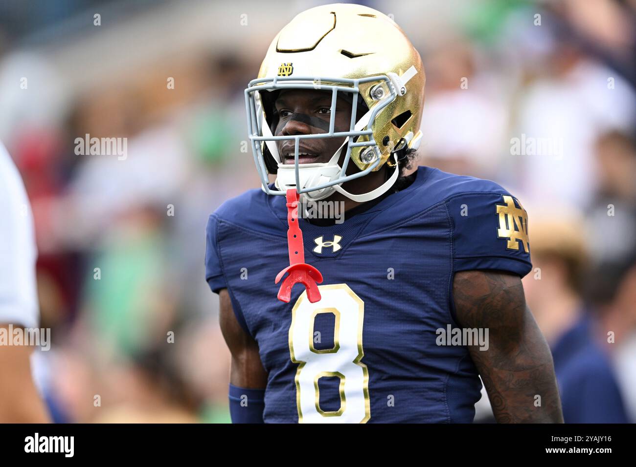 SOUTH BEND, IN - OCTOBER 12: Notre Dame Fighting Irish S Adon Shuler (8 ...