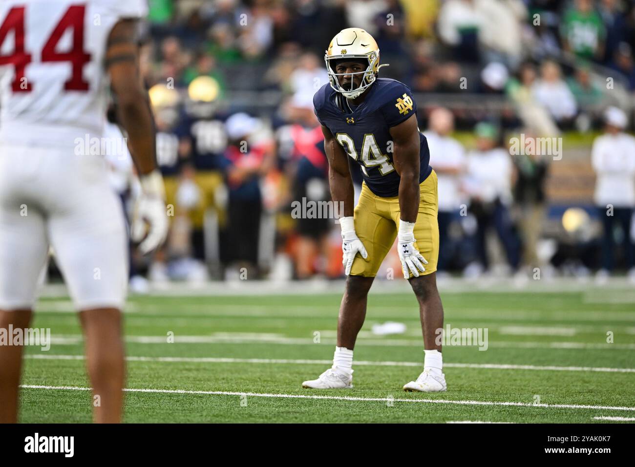 SOUTH BEND, IN - OCTOBER 12: Notre Dame Fighting Irish RB Jadarian ...
