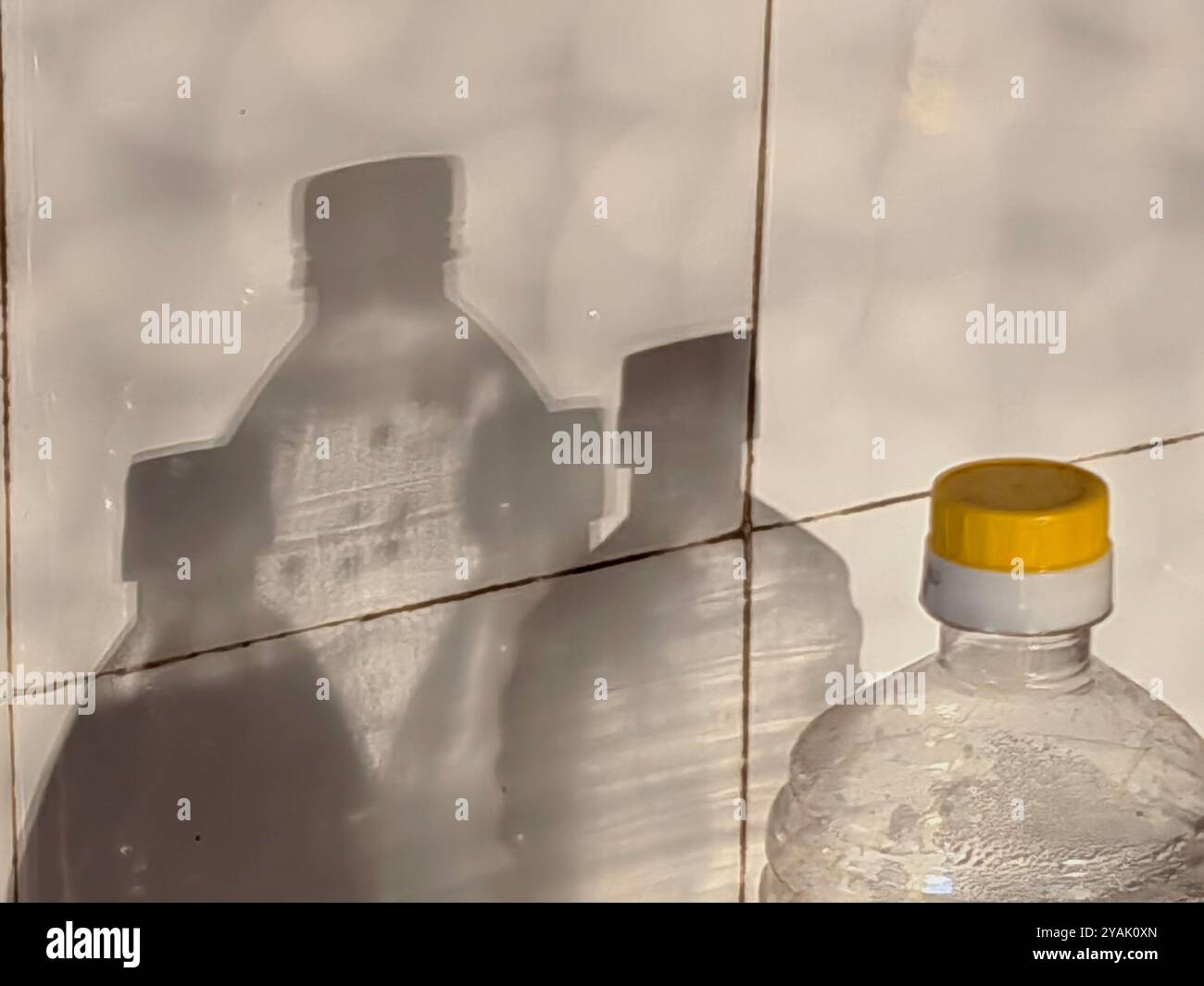 Reflection of Plastic Bottles: "I and the Gang" Concept in the Kitchen ...