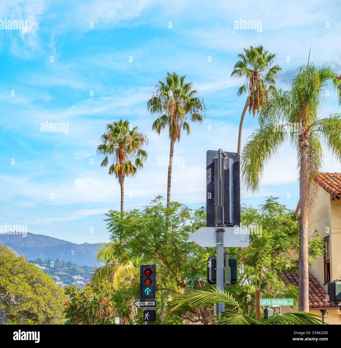 Crosswalk under palm trees hi-res stock photography and images - Alamy