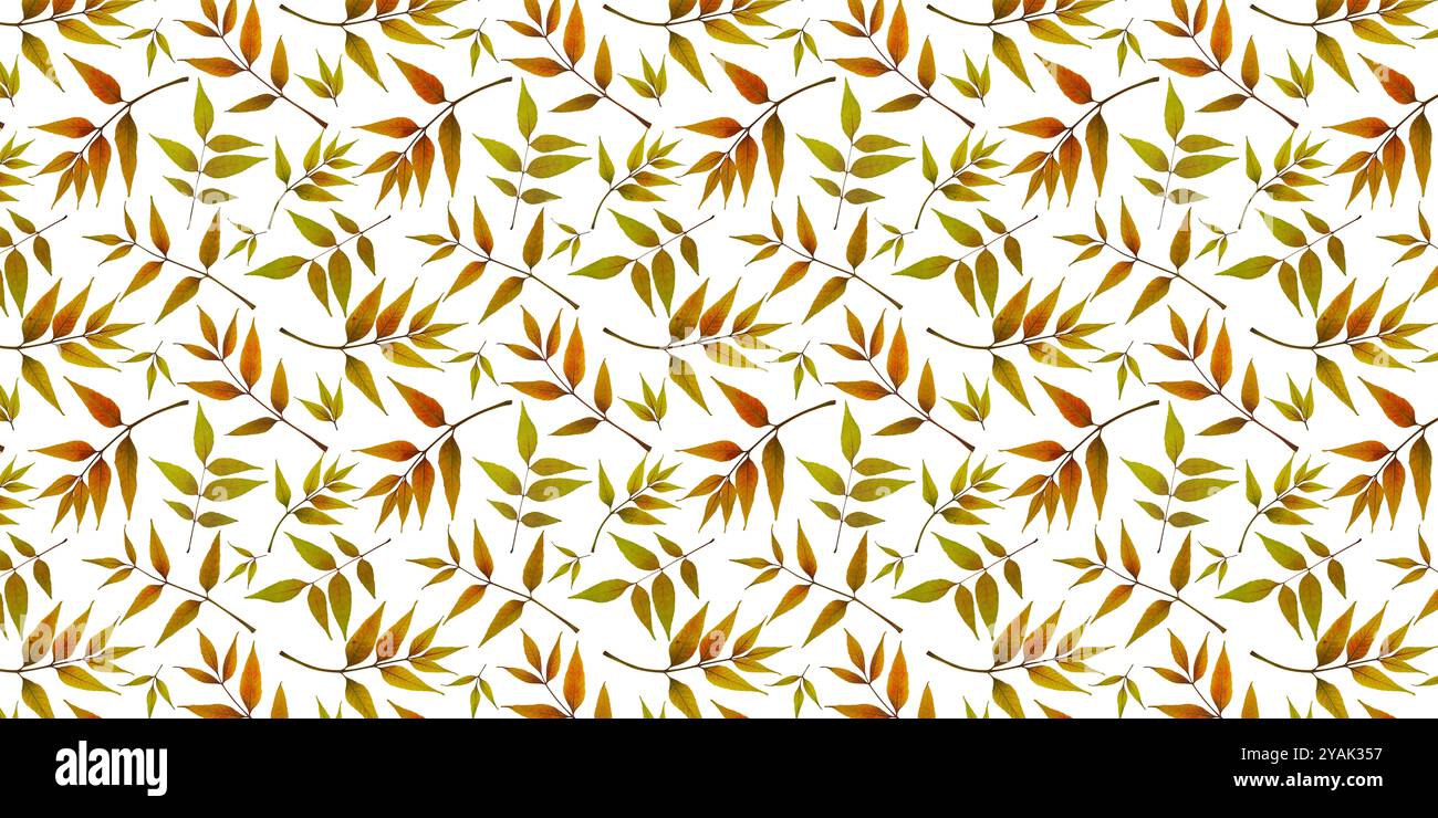 Autumn background of yellow ash leaves based on a seamless pattern ...