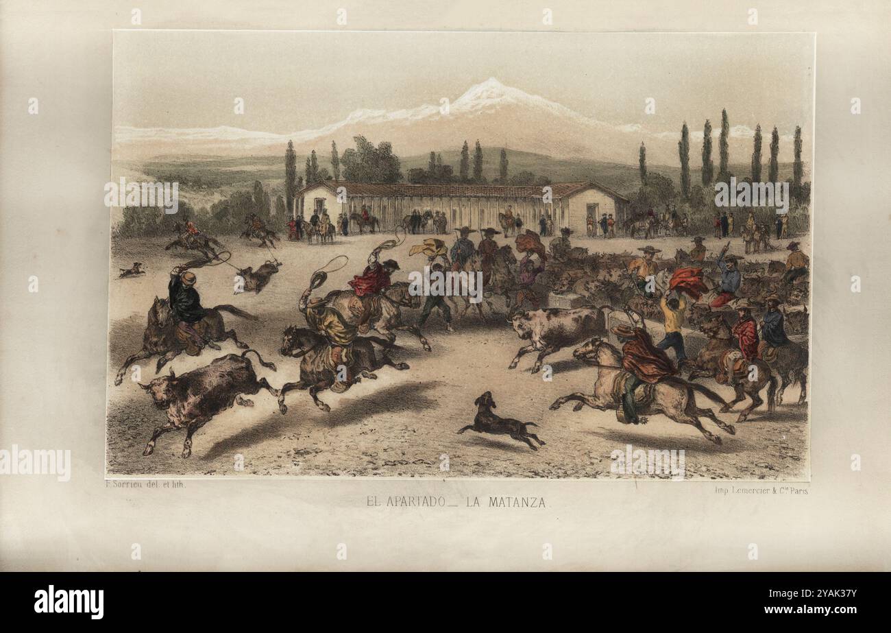 Rodeo in concepcion hi-res stock photography and images - Alamy