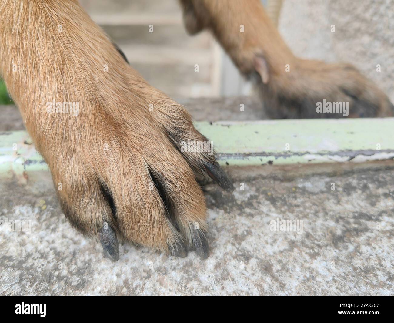 Close stance hi-res stock photography and images - Alamy