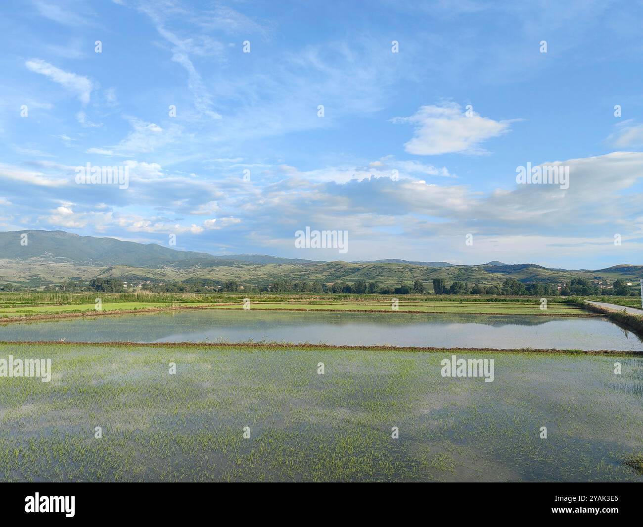 Bounty of agriculture hi-res stock photography and images - Alamy