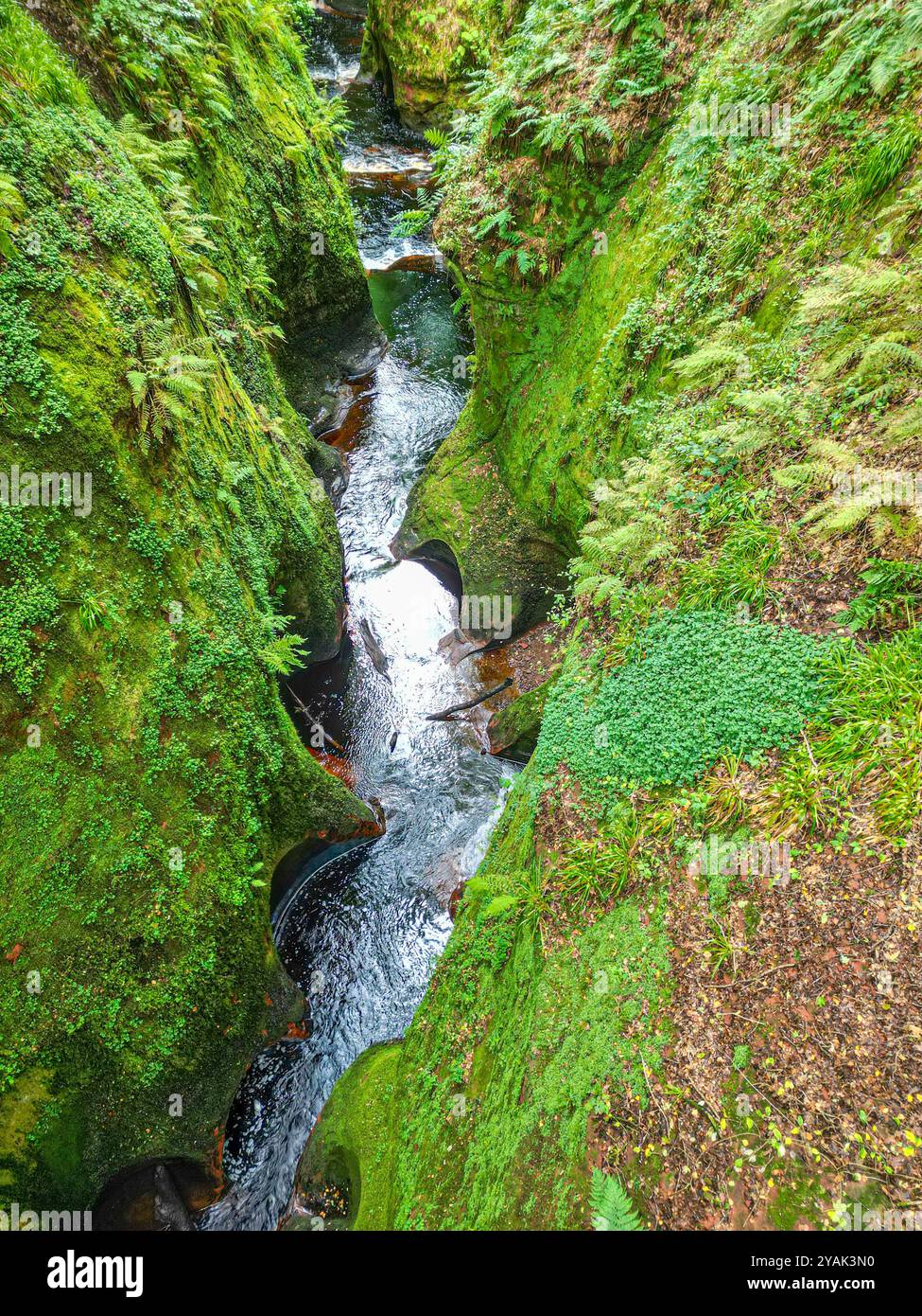 Finnich Glen and the Devil's Pulpit at the Finnich Gorge in Scotland ...