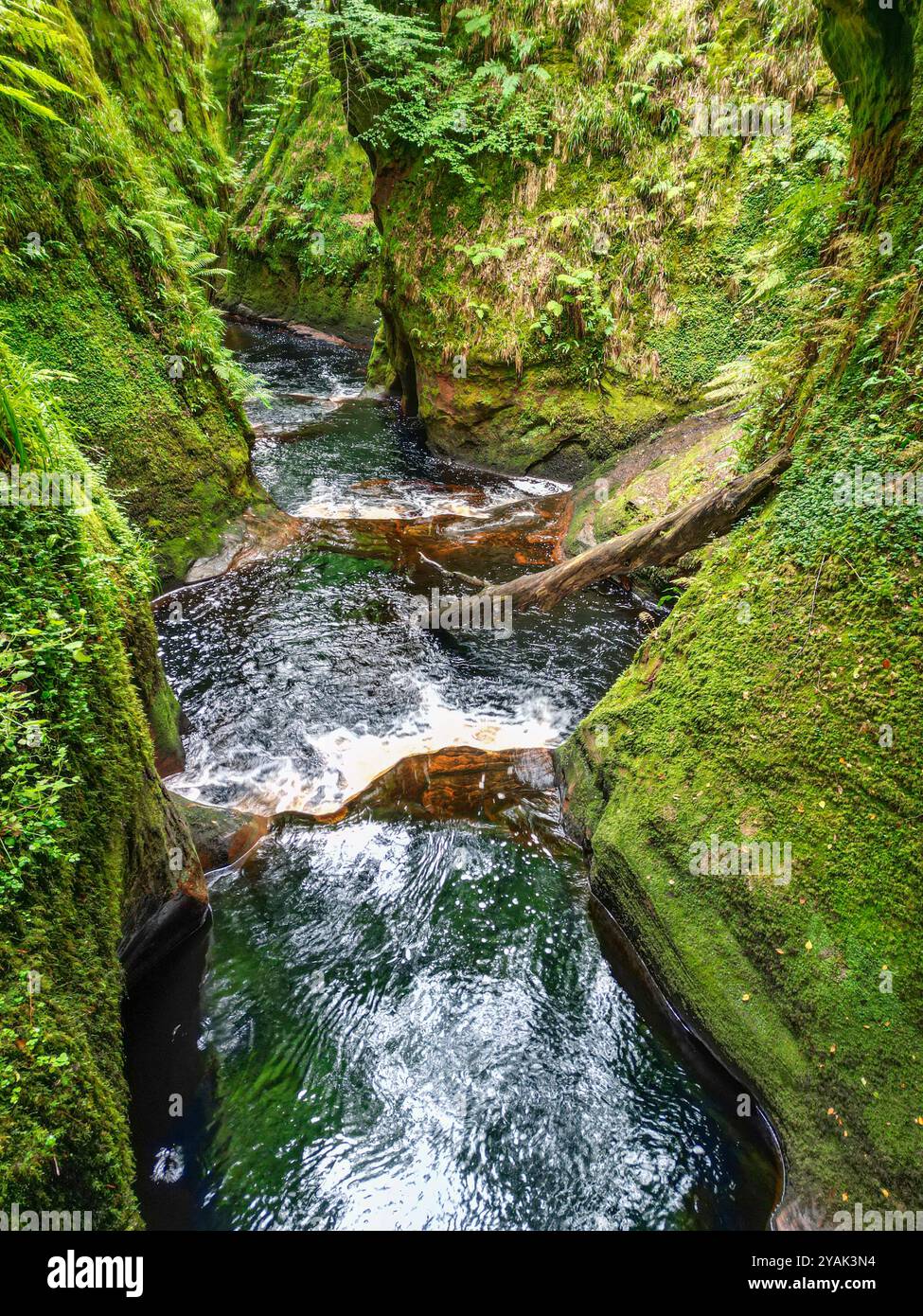 Finnich Glen and the Devil's Pulpit at the Finnich Gorge in Scotland ...
