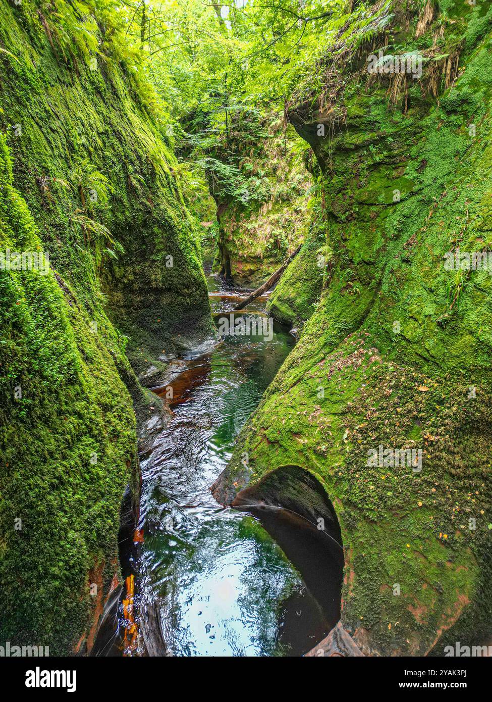 Finnich Glen and the Devil's Pulpit at the Finnich Gorge in Scotland ...