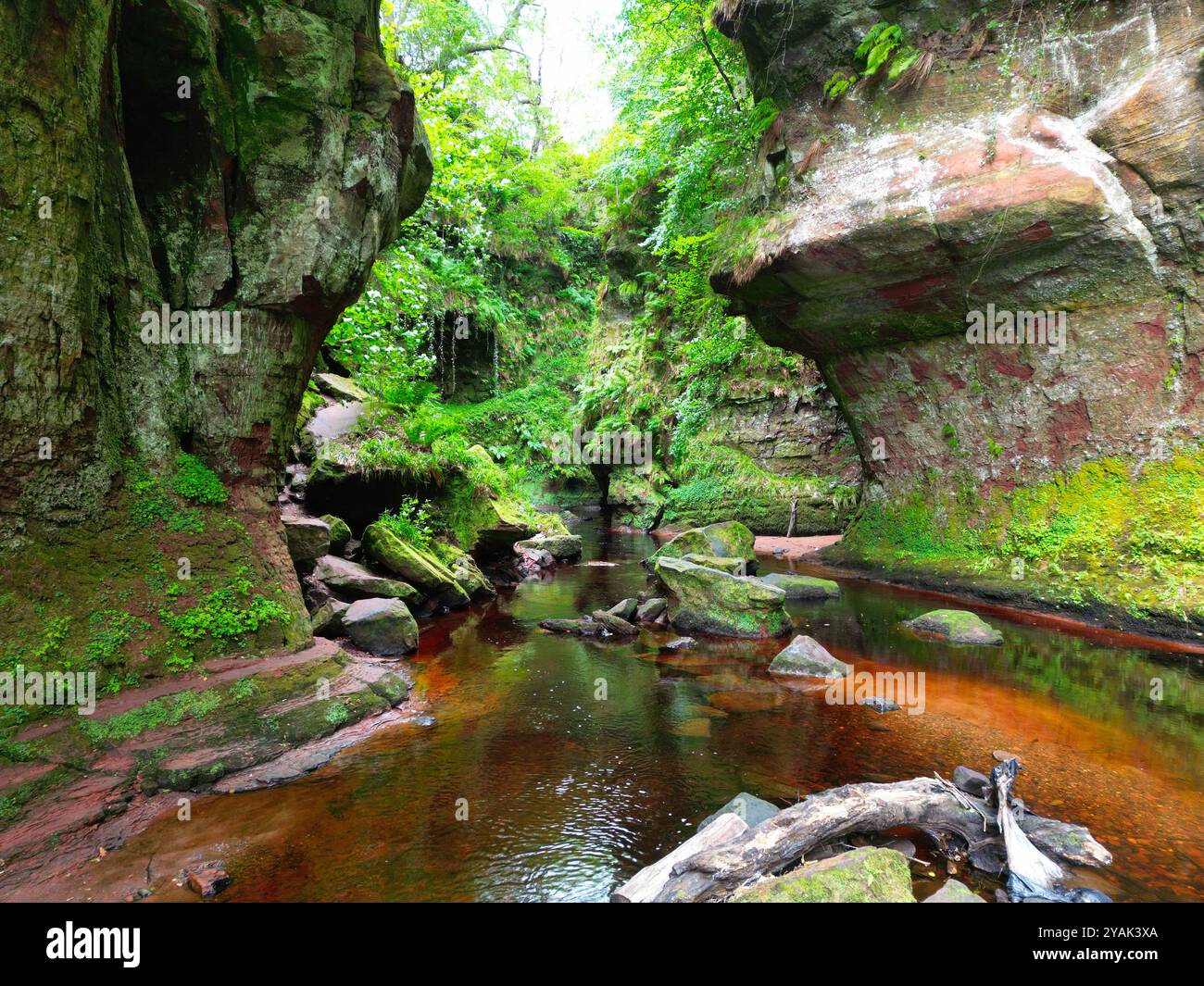 Finnich Glen and the Devil's Pulpit at the Finnich Gorge in Scotland ...