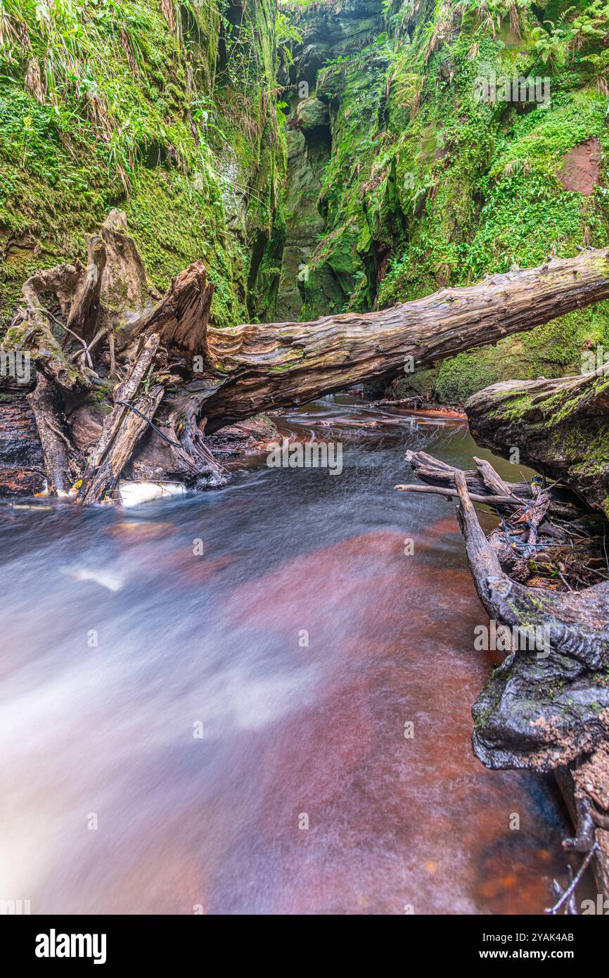 Finnich Glen and the Devil's Pulpit at the Finnich Gorge in Scotland ...