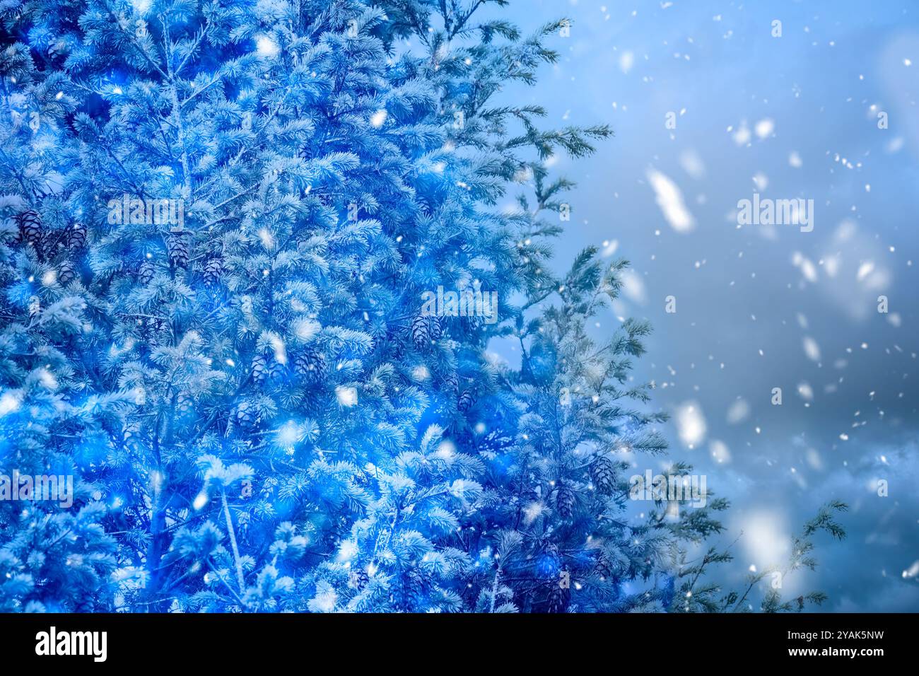 Large outdoor Christmas tree at night during a snowfall Stock Photo - Alamy