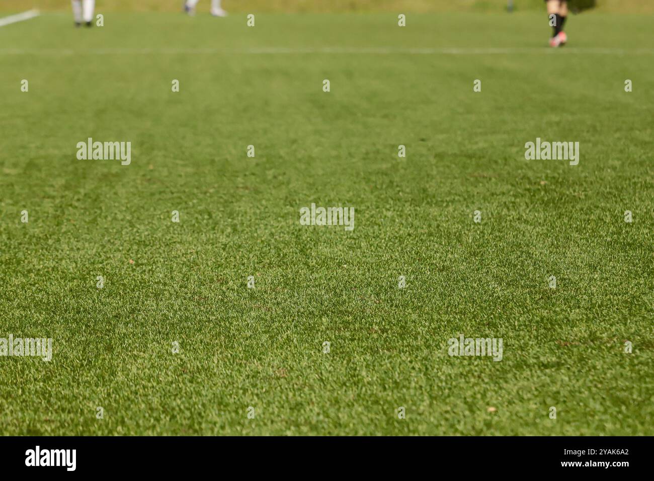 Football pitch with synthetic grass, with white lines on the lower two ...