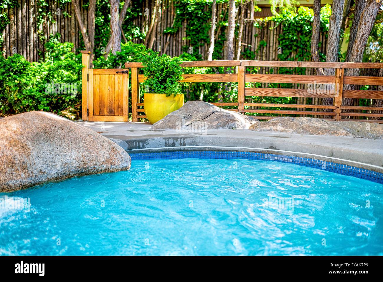Hot tub pool with Japanese garden onsen hot springs by green plants in ...
