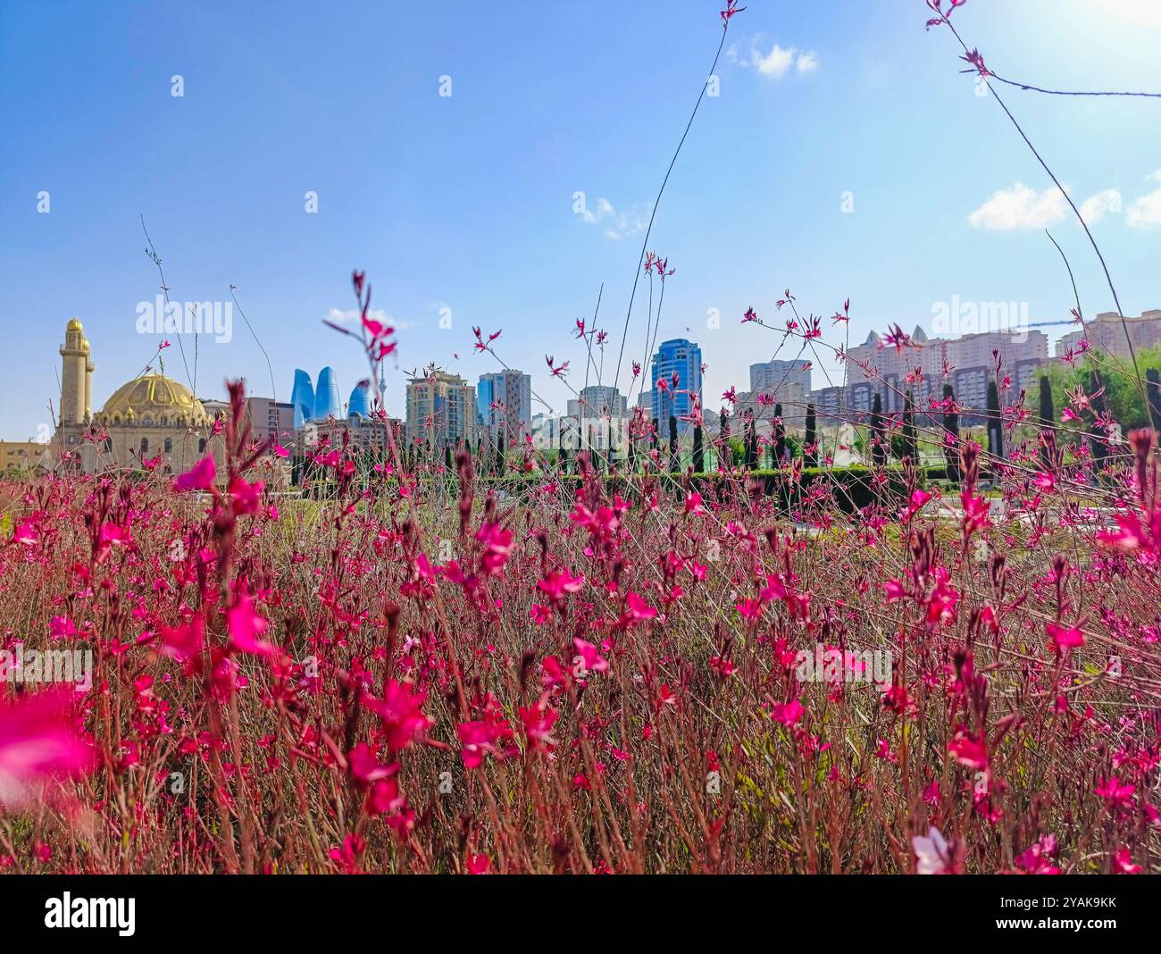 Taza Pir Mosque. Baku, Azerbaijan Stock Photo - Alamy
