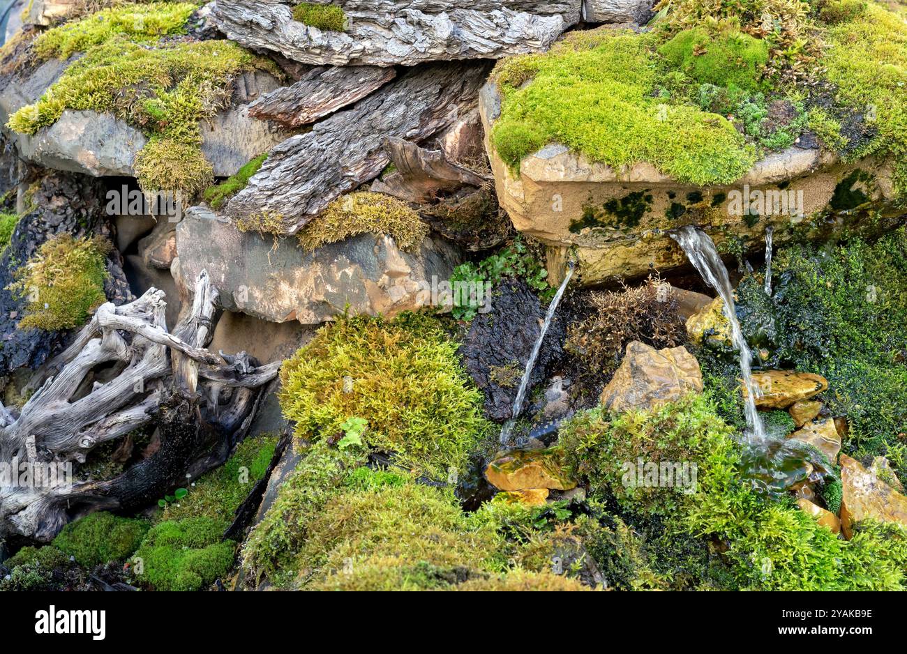 Microlandscape hi-res stock photography and images - Alamy