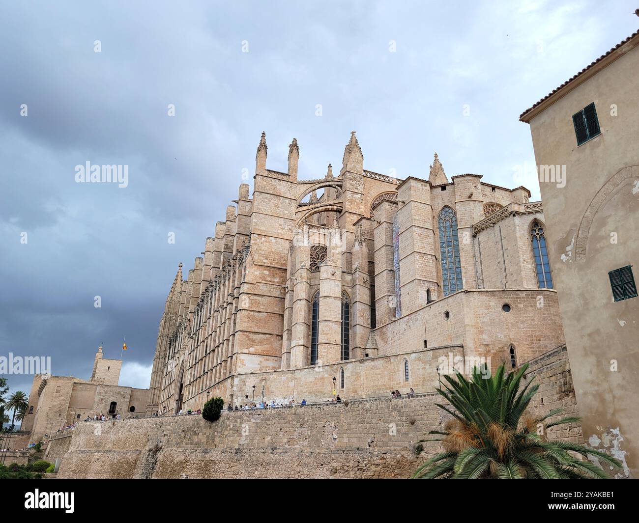 Catedral Basilica de Santa Maria de Mallorca Stock Photo - Alamy