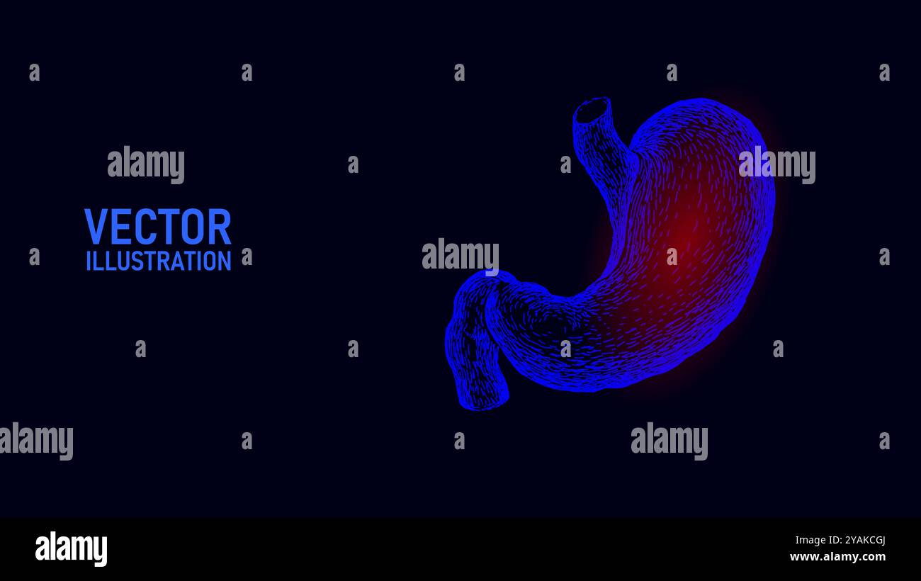 Single continuous line art anatomical human stomach silhouette. Healthy ...