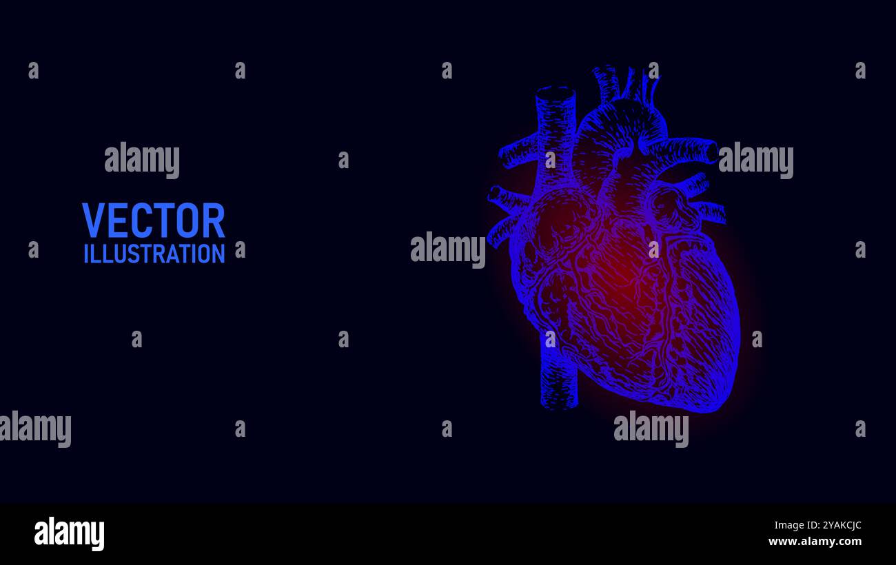 Human healthy heart 3d line art. Ink sketch medicine model. Pulse ...