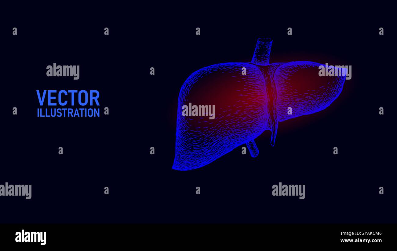 Drawing line art anatomical human liver silhouette. Healthy medicine ...
